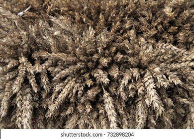 Rye Bundle Top View Selective Focus Stock Photo 732898204 | Shutterstock