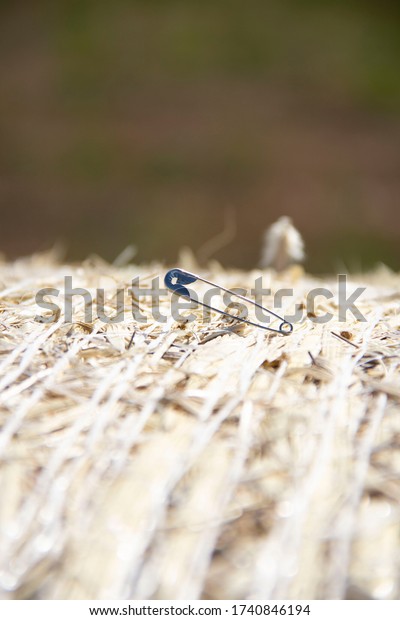 Safety Pin Haystack Stock Photo 1740846194 | Shutterstock