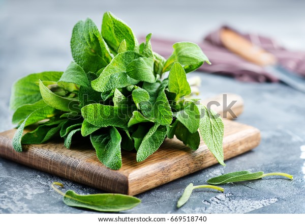 Sage Stock Photo 669518740 | Shutterstock