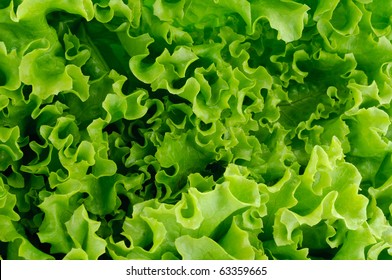 226,131 Salad Texture Images, Stock Photos & Vectors | Shutterstock
