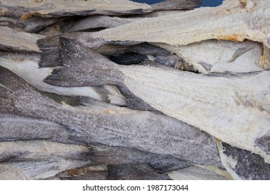 2,233 Cod tail Images, Stock Photos & Vectors | Shutterstock