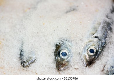 306,233 Fish Salting Images, Stock Photos & Vectors | Shutterstock