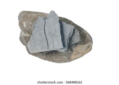 73 Dull luster Images, Stock Photos & Vectors | Shutterstock