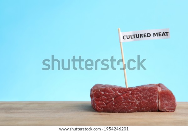 Sample Lab Grown Beef Labeled Cultured Stock Photo 1954246201 ...