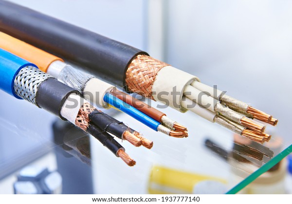 Samples Electric Power Cable Section Exhibition Stock Photo 1937777140 ...