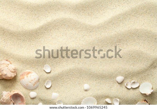 Sand Background Shells Beach Texture Copy Stock Photo 1069965245 ...