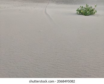 882 Pasir pantai Images, Stock Photos & Vectors | Shutterstock