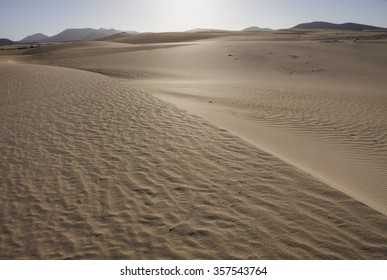 Sand Patterns After Wind Rain On Stock Photo 357543764 | Shutterstock