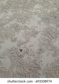Beach Sand Texture Footsteps Stock Photo (Edit Now) 1550755667