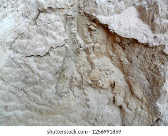 Sand Texture Rough Surface Stock Photo 1256991859 | Shutterstock