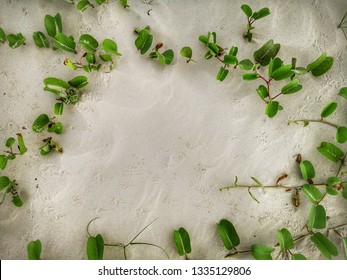 Sandy Background Frame Texture Design Stock Photo 1335129806 | Shutterstock