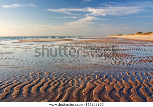 Sandy Intertidal Zone Evening Light On Stock Photo 166925933 | Shutterstock