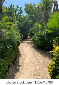 Sandy Pathway Into Jungle Tulum Mexico Stock Photo 1516745708 ...
