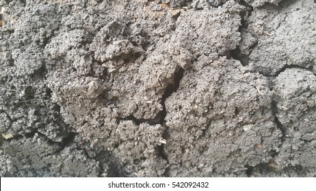 79,583 Grey soil Images, Stock Photos & Vectors | Shutterstock