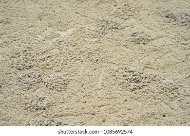 Sandy Soil Texture Sandy Soil Background Stock Photo 1085692574 ...