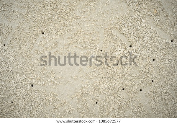 Sandy Soil Texture Sandy Soil Background Stock Photo 1085692577 ...