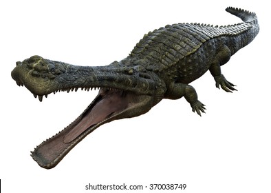 Sarcosuchus Images, Stock Photos & Vectors | Shutterstock