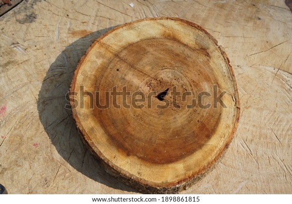 Saw Cut Tree Defects Timberbackground Wood Stock Photo 1898861815 ...