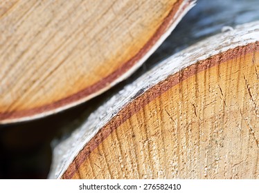 Sawn Tree Cork Layer Closeup Abstract Stock Photo 276582410 | Shutterstock