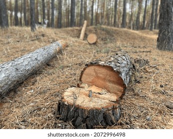 2,564 Falling logs Images, Stock Photos & Vectors | Shutterstock