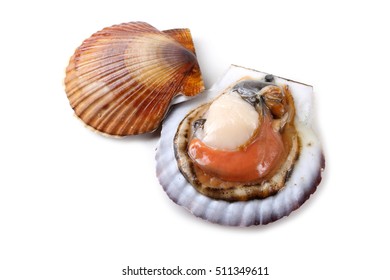 5,051 Opened Scallop Images, Stock Photos & Vectors | Shutterstock