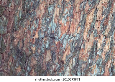 961 Scaly tree bark Images, Stock Photos & Vectors | Shutterstock