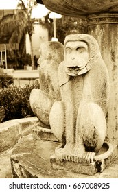 Scarface Monkey Stock Photo 667008925 | Shutterstock