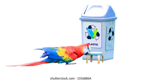 2,789 Parrot show Images, Stock Photos & Vectors | Shutterstock