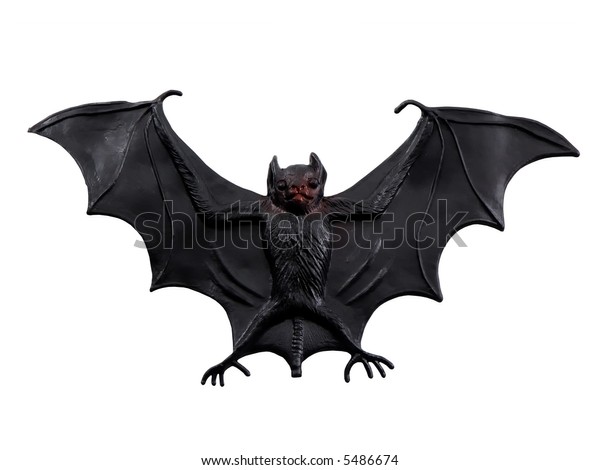 Scary Bat Stock Photo 5486674 | Shutterstock