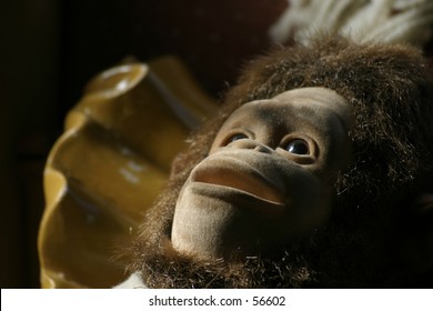 Scary Monkey Stock Photo 56602 | Shutterstock