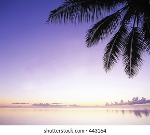Scene View Stock Photo 443164 | Shutterstock