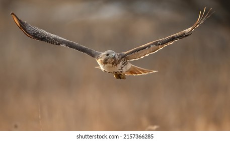 6,356 Eagle eye view Images, Stock Photos & Vectors | Shutterstock