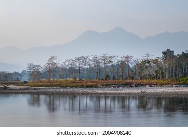 7,848 Assam landscape Images, Stock Photos & Vectors | Shutterstock