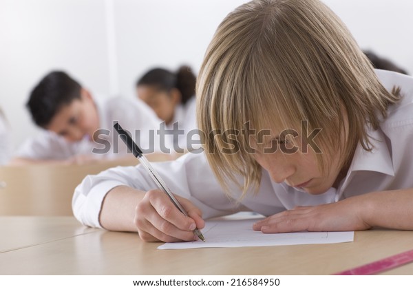 School Boy Taking Test Classroom Stock Photo 216584950 | Shutterstock