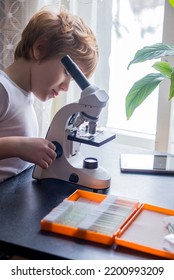 374 Children microscope magnification Images, Stock Photos & Vectors ...