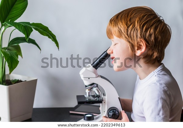 Schoolboy Using Laboratory Microscope Child Researching Stock Photo ...