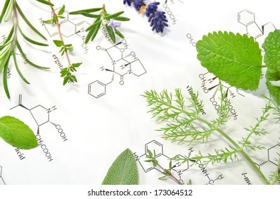 117,903 Chemistry plant Images, Stock Photos & Vectors | Shutterstock