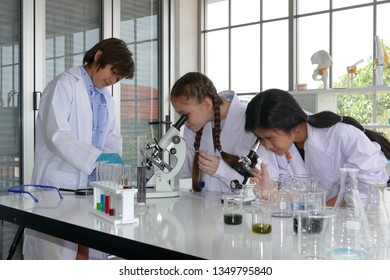 Scientific Learning Must Learn When Young Stock Photo 1349795840 ...