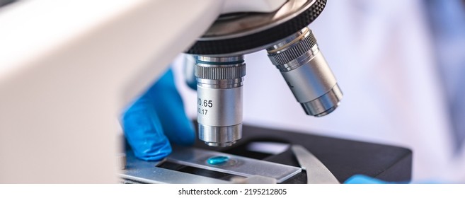 Scientific Microscope Using Science Laboratory Biology Stock Photo ...