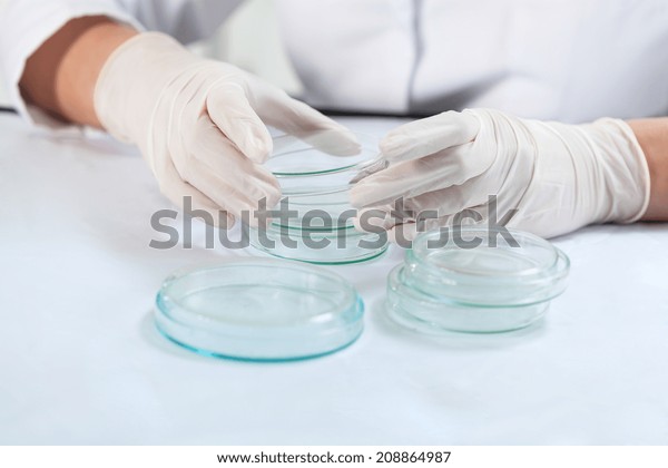 Scientist Before Doing Experiment Laboratory Horizontal Stock Photo ...