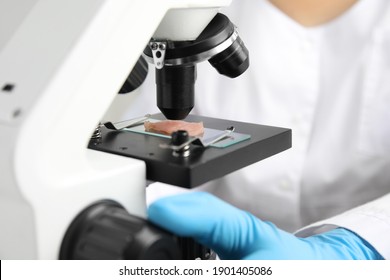 Scientist Inspecting Meat Sample Microscope Laboratory Stock Photo ...