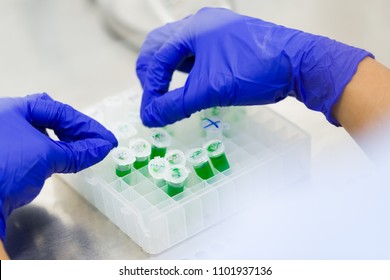 47,333 Green test tube Images, Stock Photos & Vectors | Shutterstock