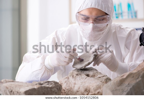 Scientist Looking Stone Samples Lab Stock Photo 1054152806 | Shutterstock