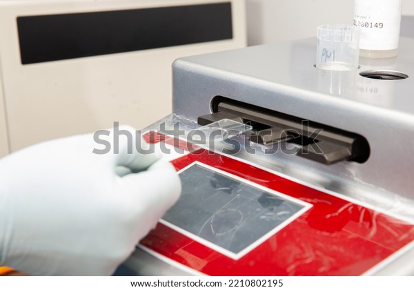 Scientist Preparing Microscope Slides Liquid Based Stock Photo ...