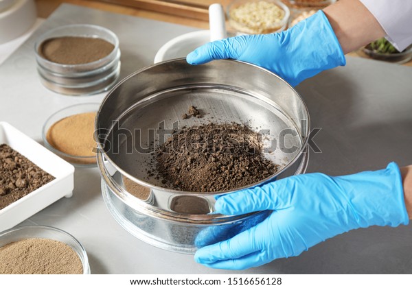Scientist Pulverizing Sieving Soil Samples Table Stock Photo (Edit Now ...