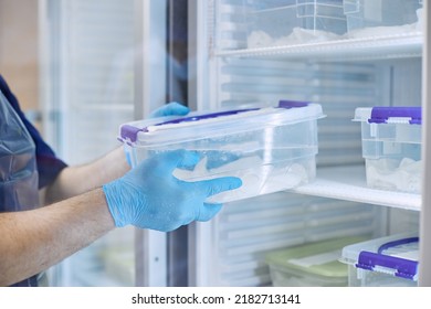 560 Scientific refrigerator Images, Stock Photos & Vectors | Shutterstock