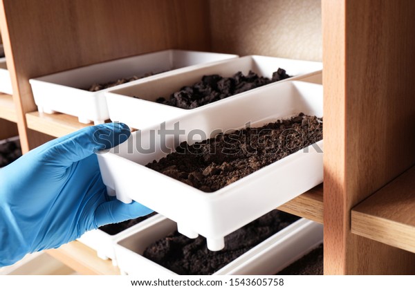 Scientist Taking Container Soil Sample Agriculture Stock Photo ...
