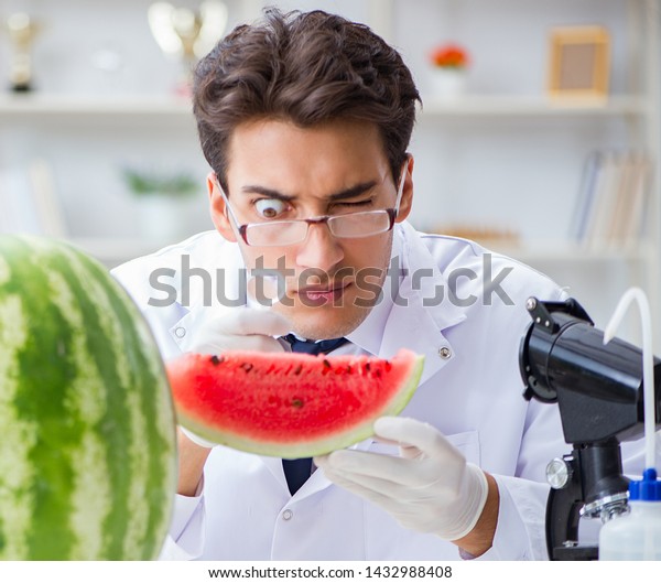 Watermelon test 2,078 รายการ ภาพ ภาพสต็อกและเวกเตอร์ | Shutterstock