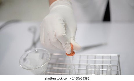 Scientists Adding Solution Test Tube Chemical Stock Photo 1480665398 ...