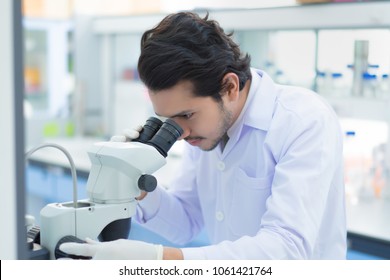 Medical Technologist Working Laboratory Using Microscope Stock Photo ...